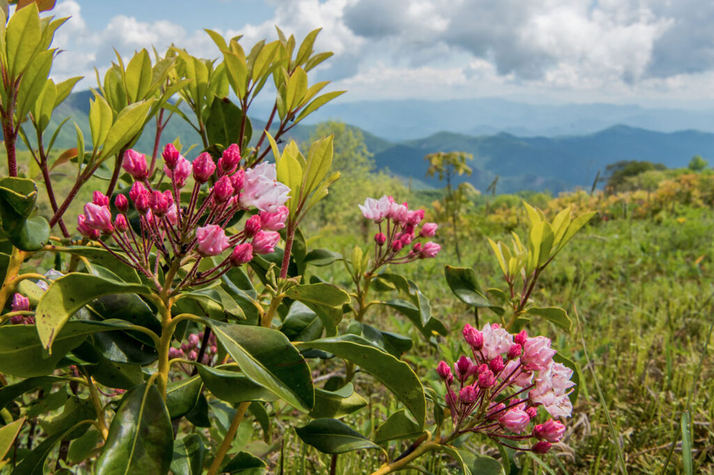 Andrews North Carolina – A true mountain community with real mountain ...